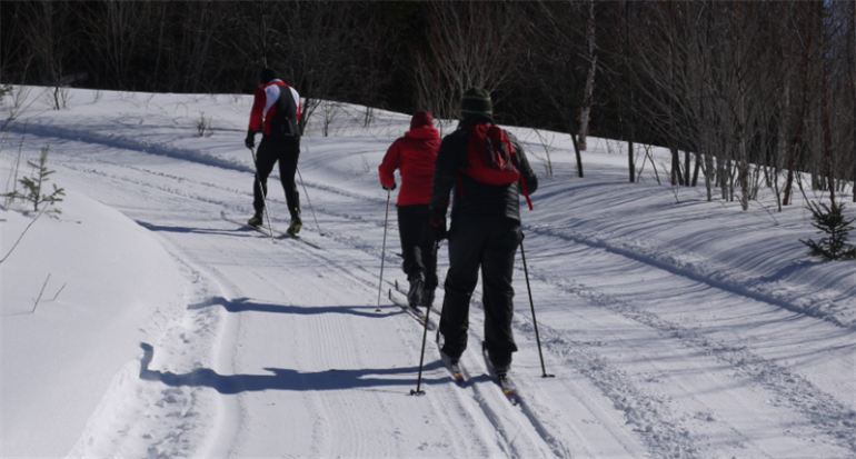 Coup de barre pour le développement du ski de fond à Pin rouge - CIEU ...
