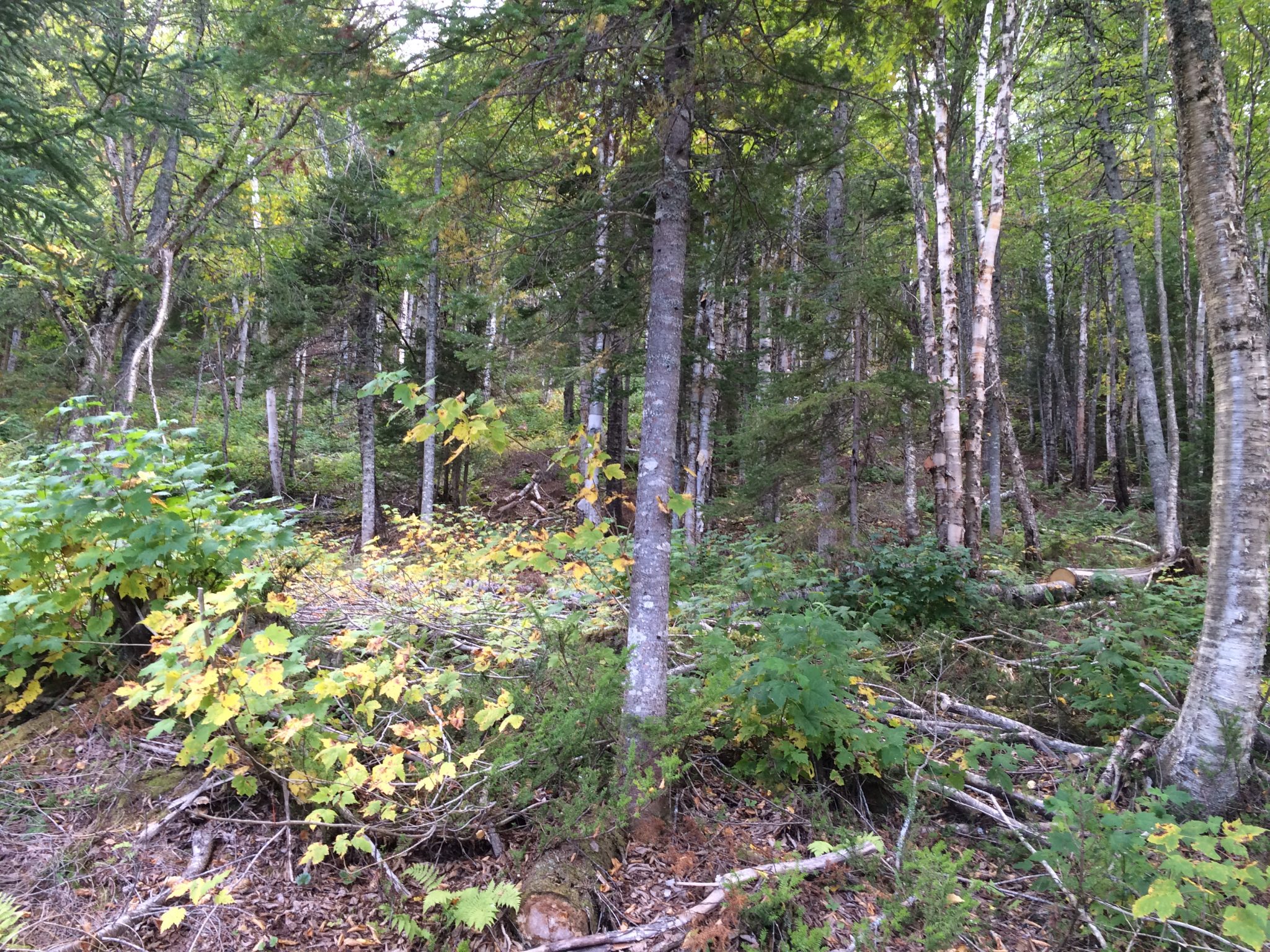 Prudence même en automne - CIEU-FM 94,9, 1061, la radio de la Baie-des ...